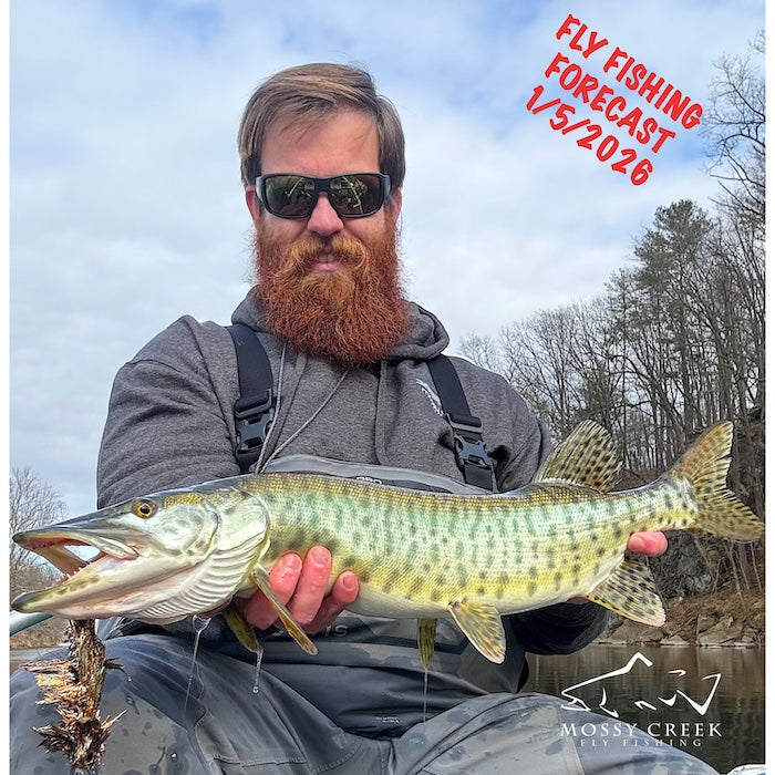Mossy Creek Fly Fishing Forecast 1/5/2026 | Mossy Creek Fly Fishing