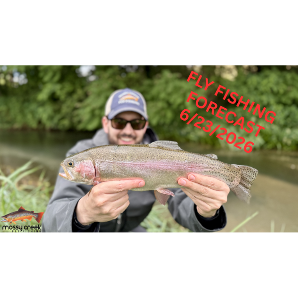Mossy Creek Fly Fishing Forecast 6/23/2026